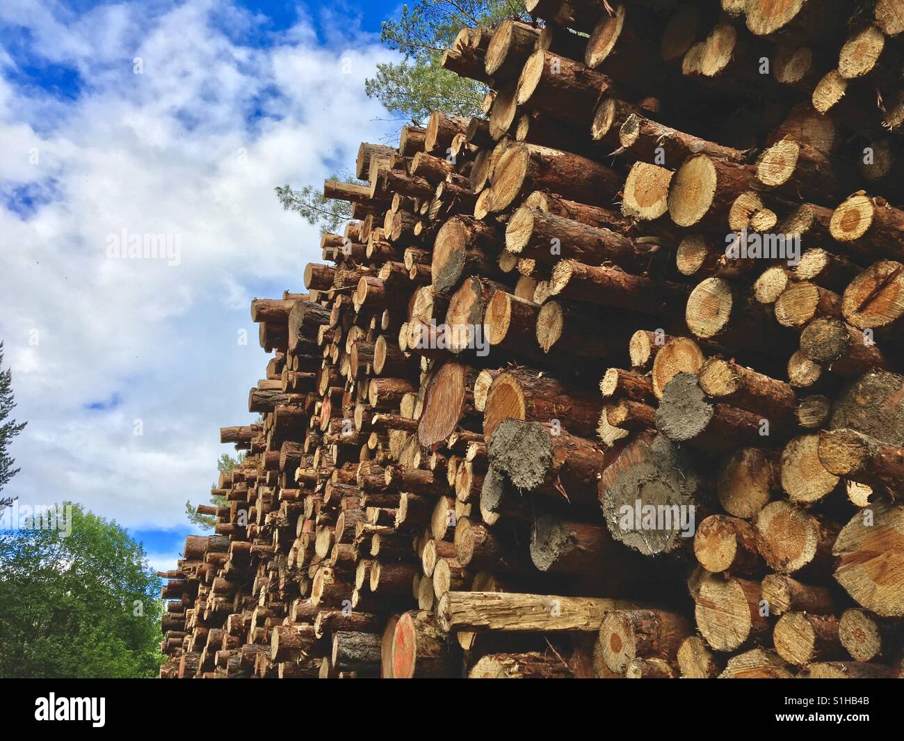 Lumber planks hi-res stock photography and images - Alamy