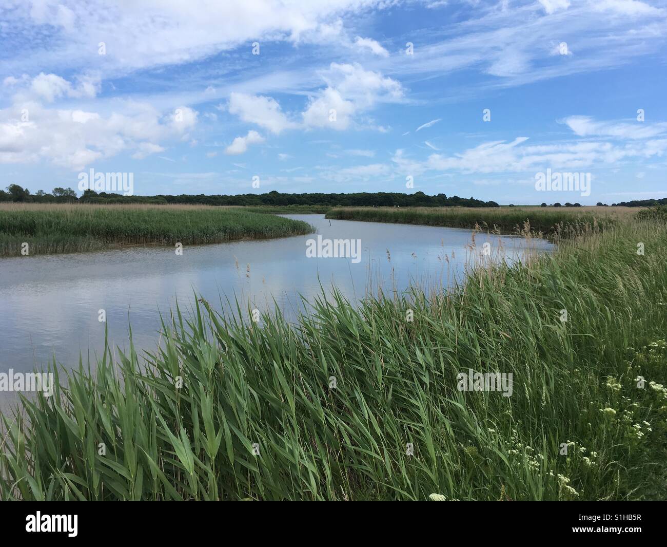 Grassy bank under hi-res stock photography and images - Alamy