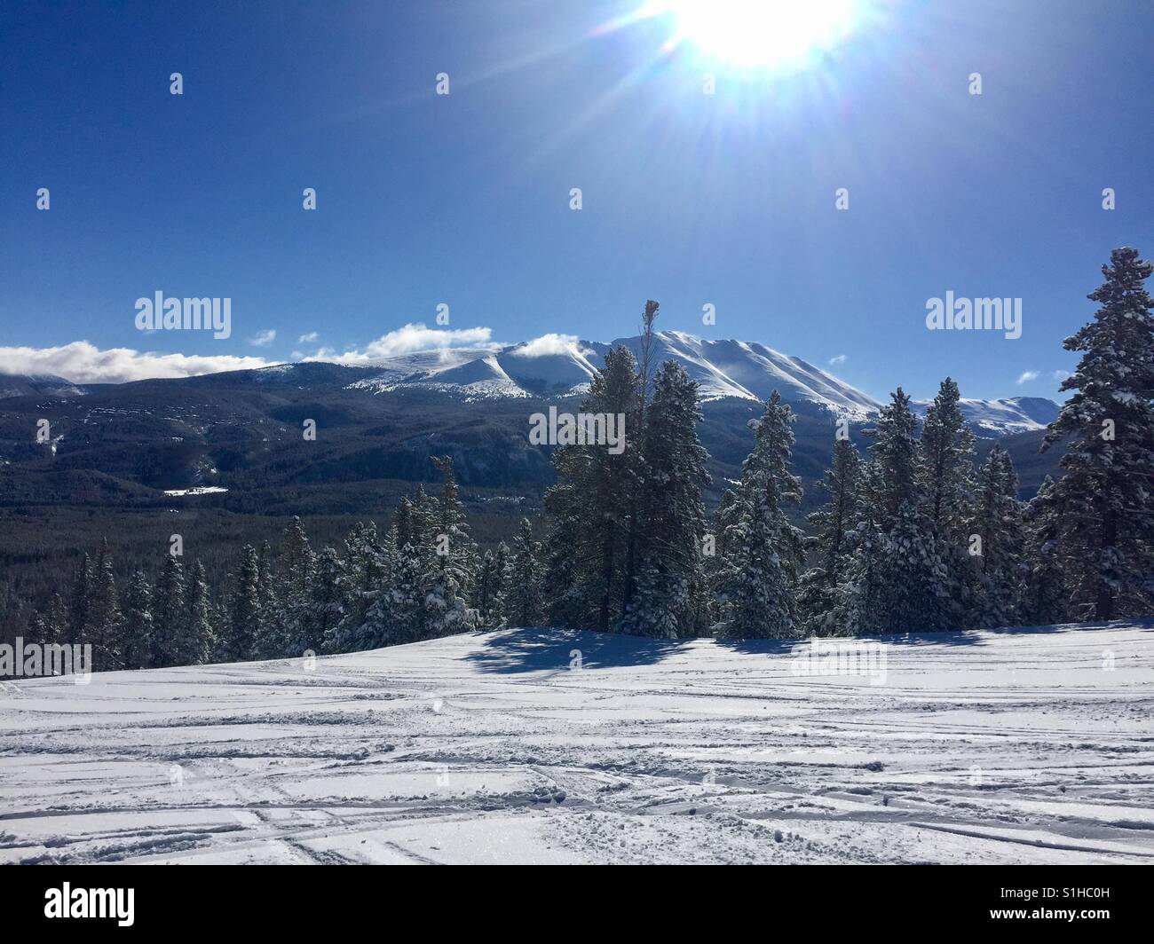 Powder day hi-res stock photography and images - Alamy
