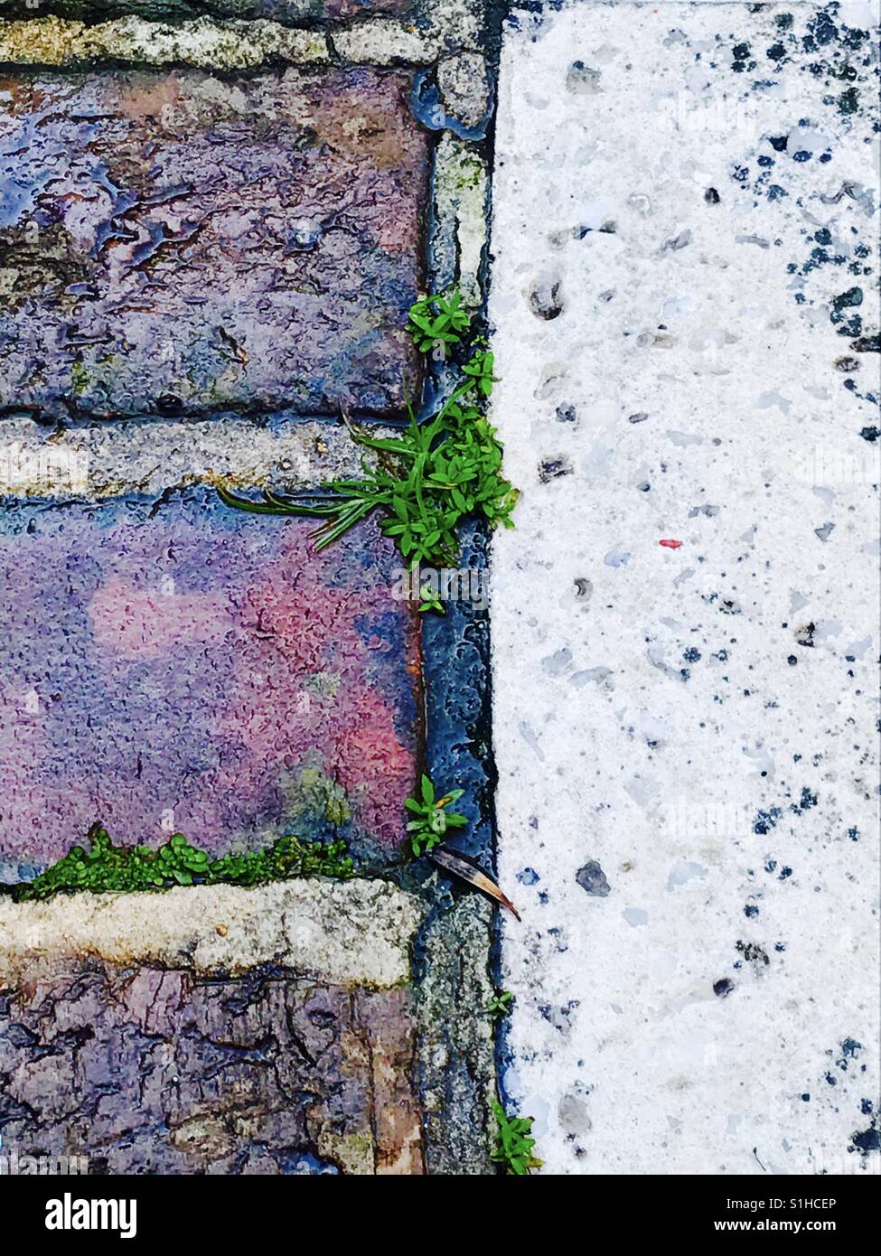 Bricks and grass hi-res stock photography and images - Alamy