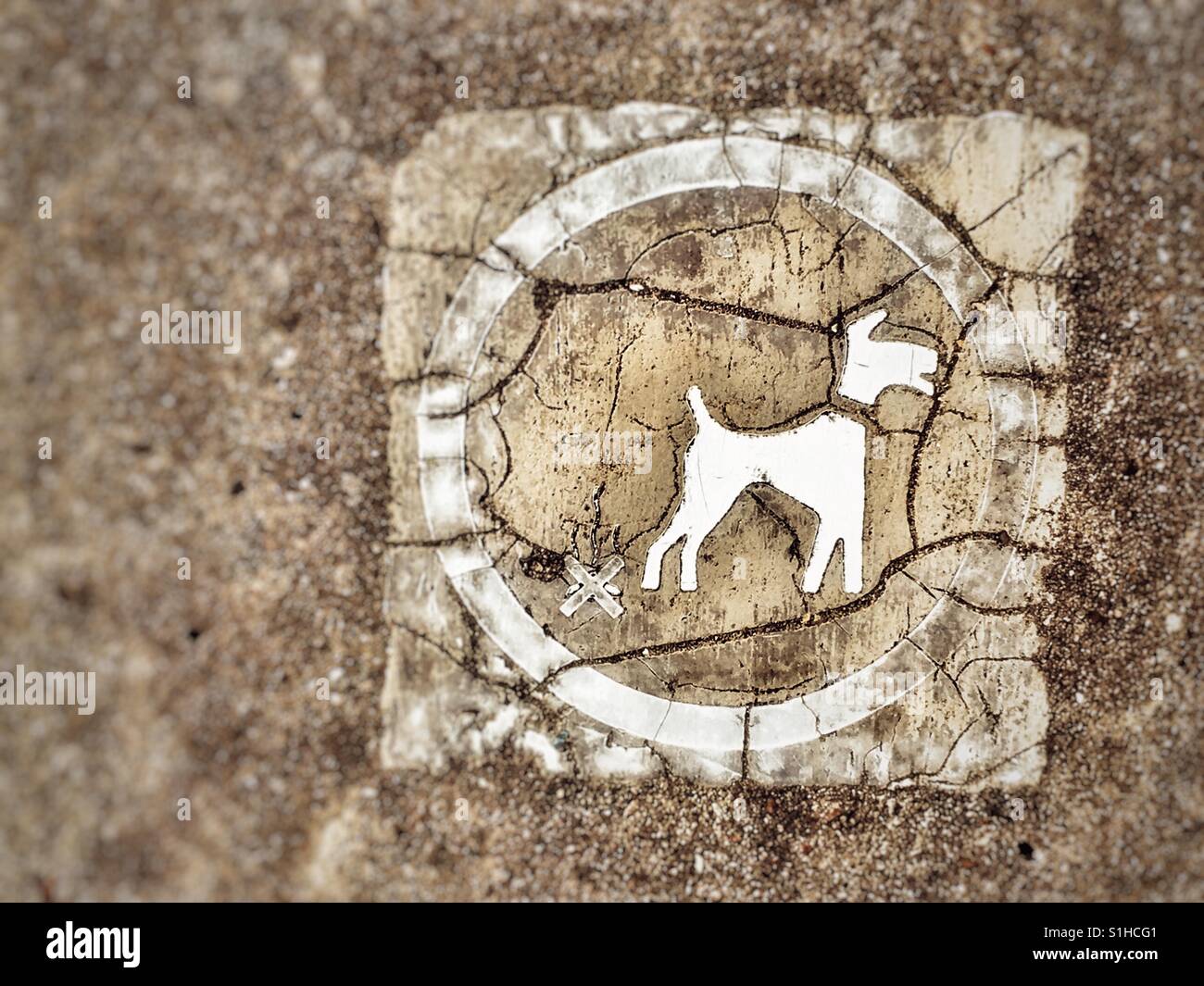 Dog poo sign hi-res stock photography and images - Alamy