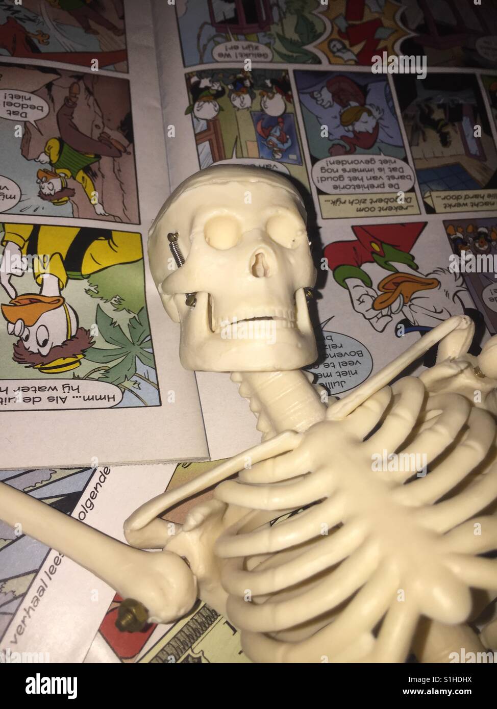 Cool Skeleton High Resolution Stock Photography and Images - Alamy