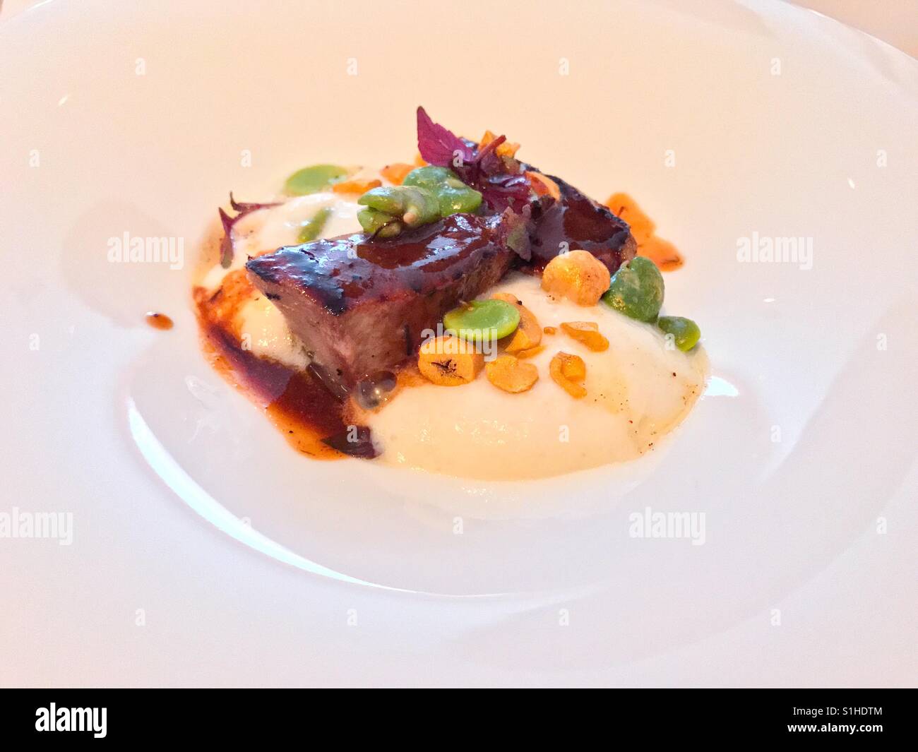Starter main course hi-res stock photography and images - Alamy