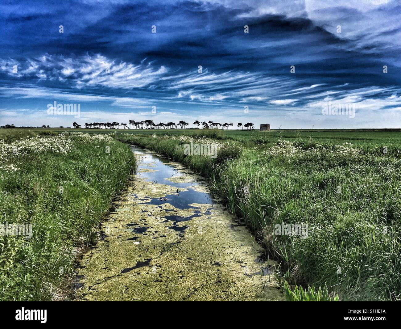 Alderton marshes hi-res stock photography and images - Alamy