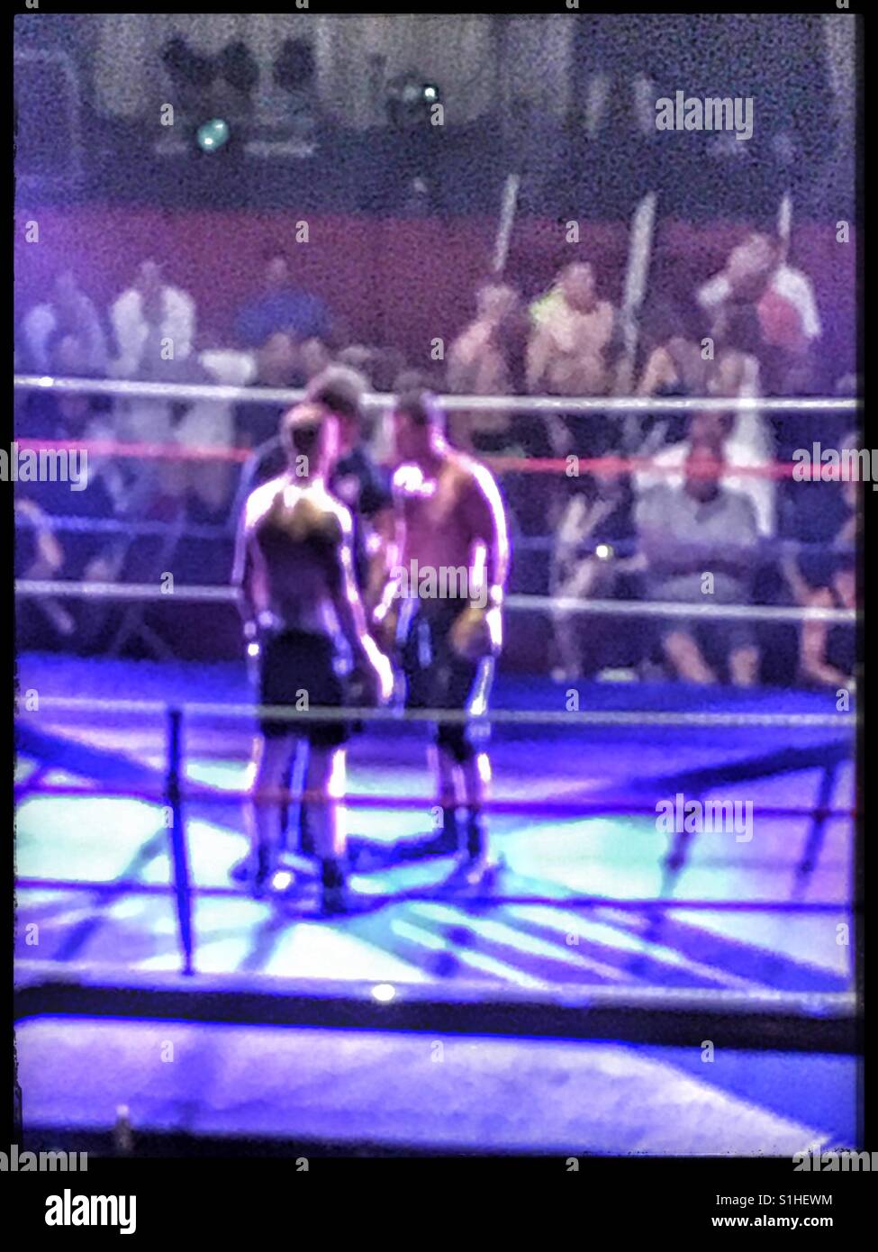 Boxers face to face hi-res stock photography and images - Alamy