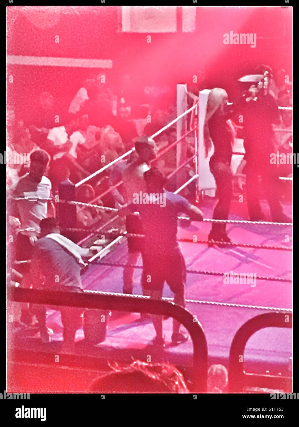 Boxing Ring bathed in pink lighting Stock Photo - Alamy