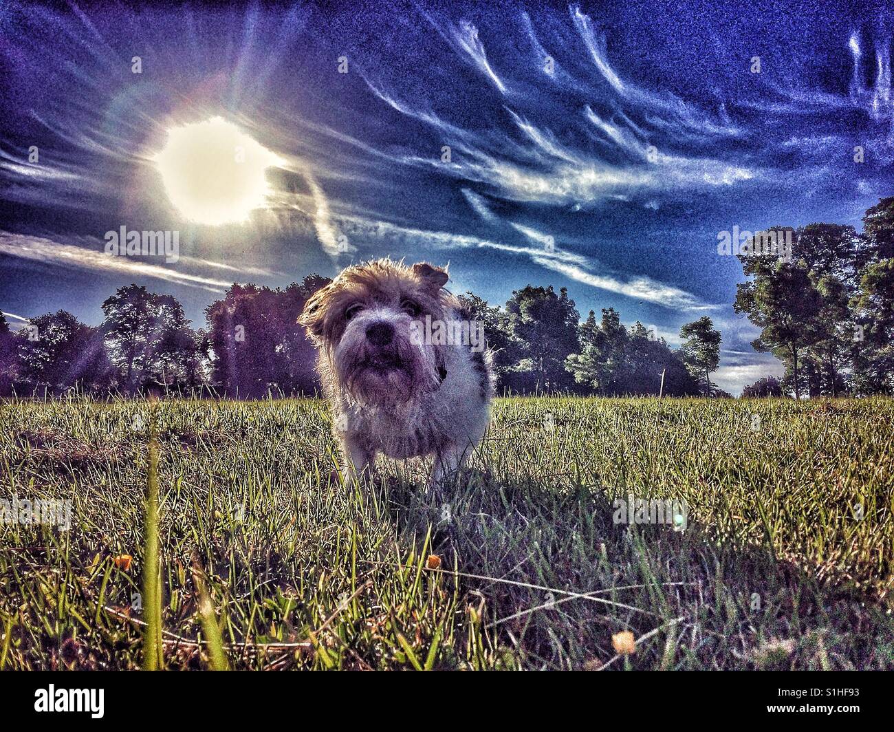 Cmera hi-res stock photography and images - Alamy