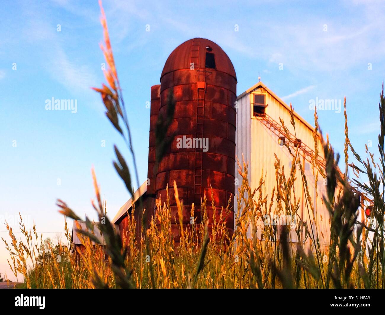 Sunlit barns hi-res stock photography and images - Alamy
