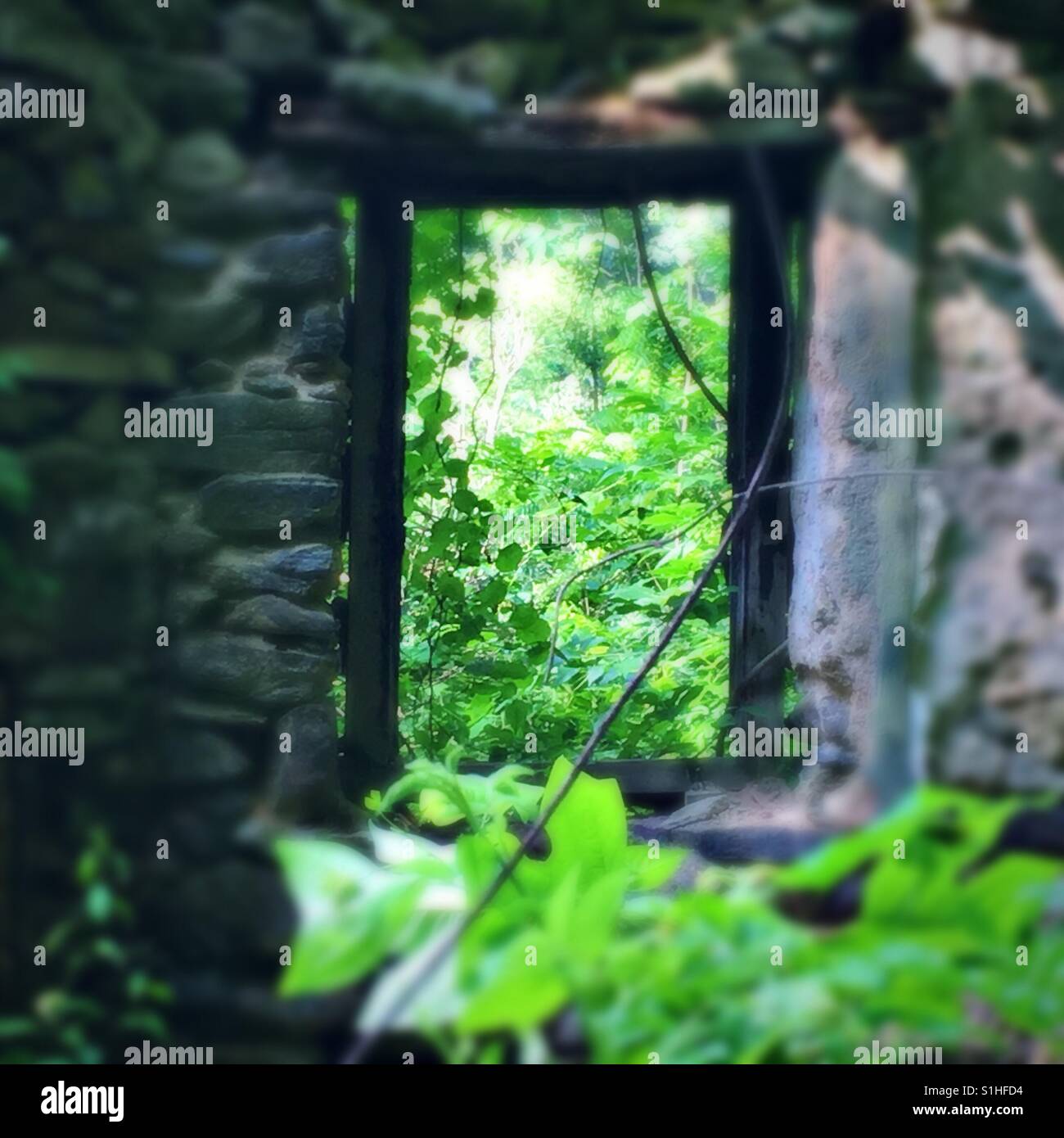 Vision window hi-res stock photography and images - Alamy