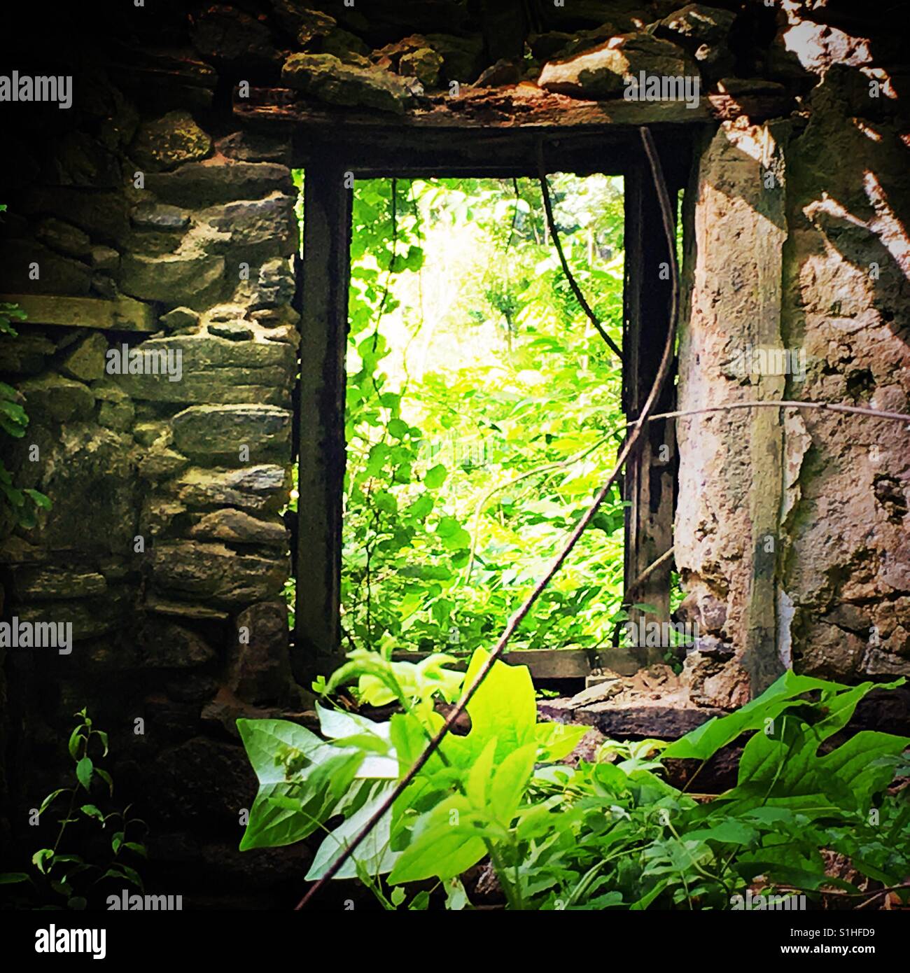 Vision window hi-res stock photography and images - Alamy