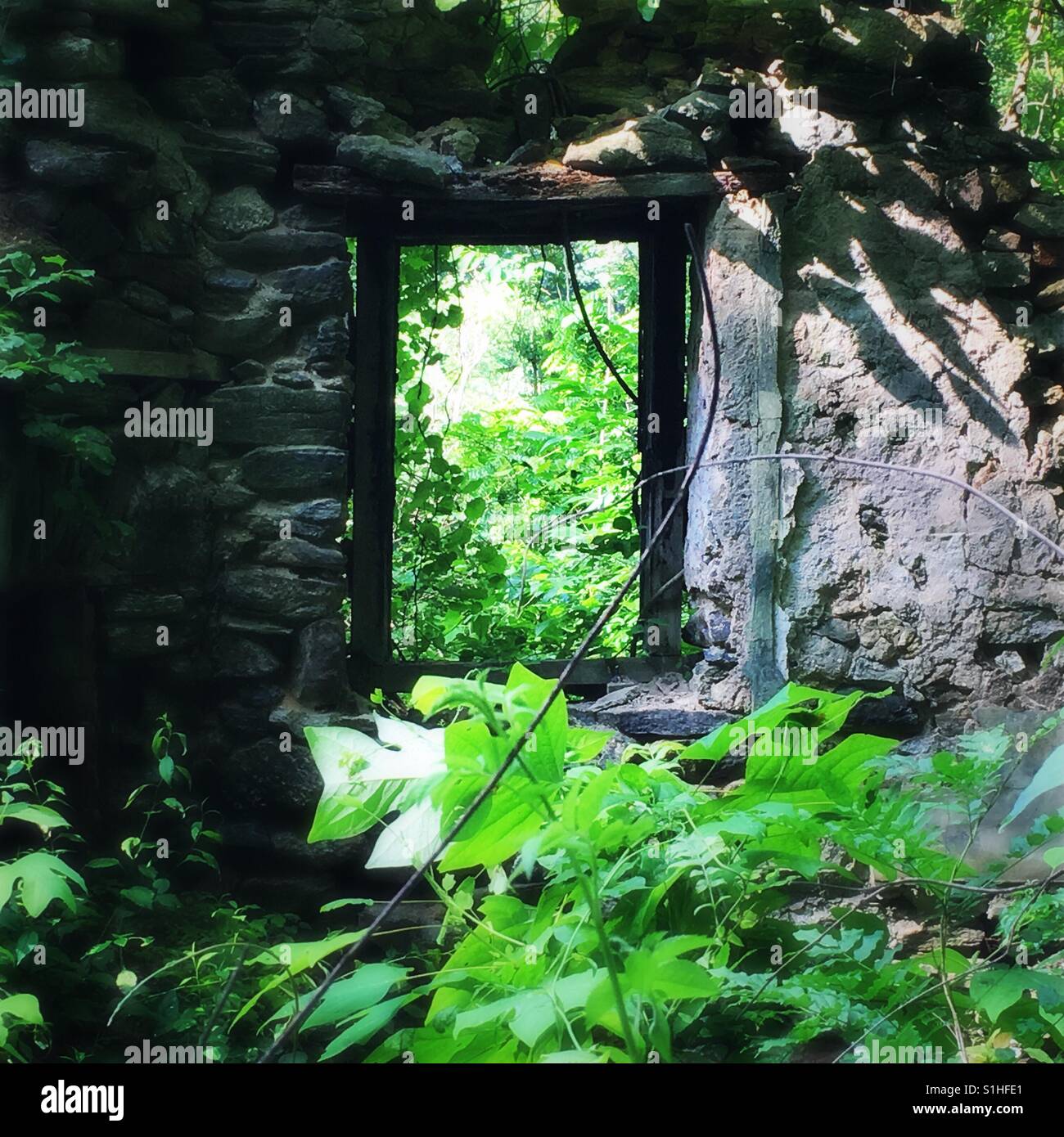 Vision window hi-res stock photography and images - Alamy
