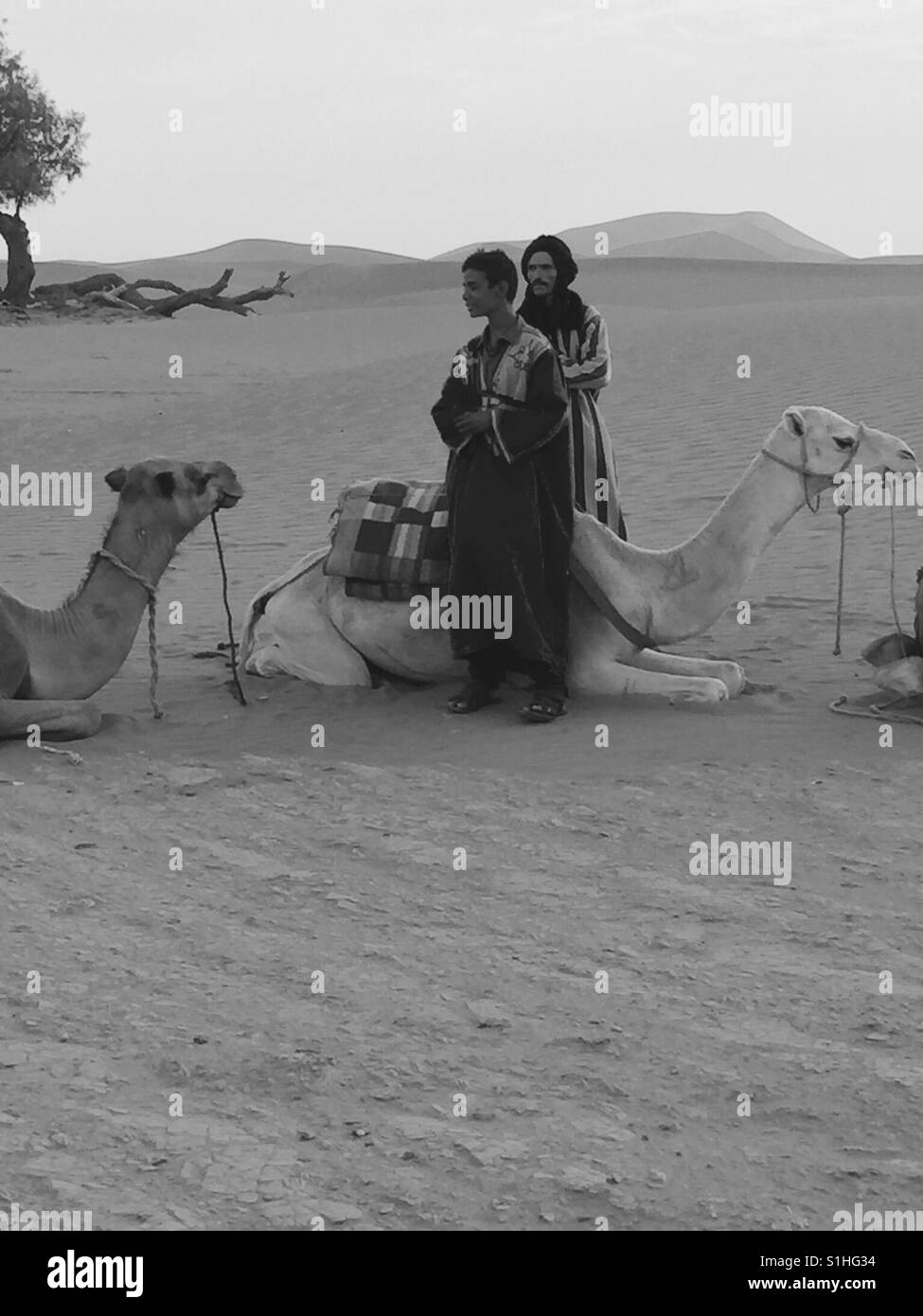 Solitude of the desert hi-res stock photography and images - Alamy