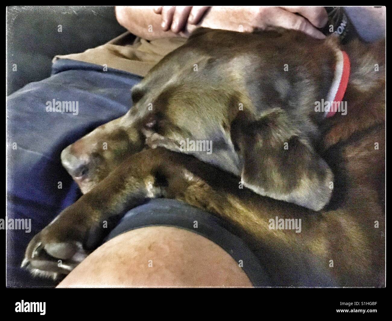 Master d hi-res stock photography and images - Alamy