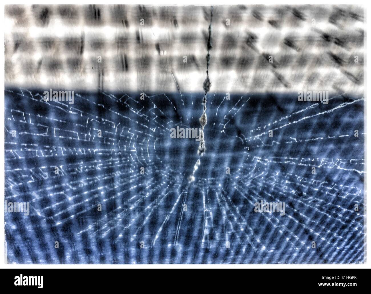 Spiders work hi-res stock photography and images - Alamy