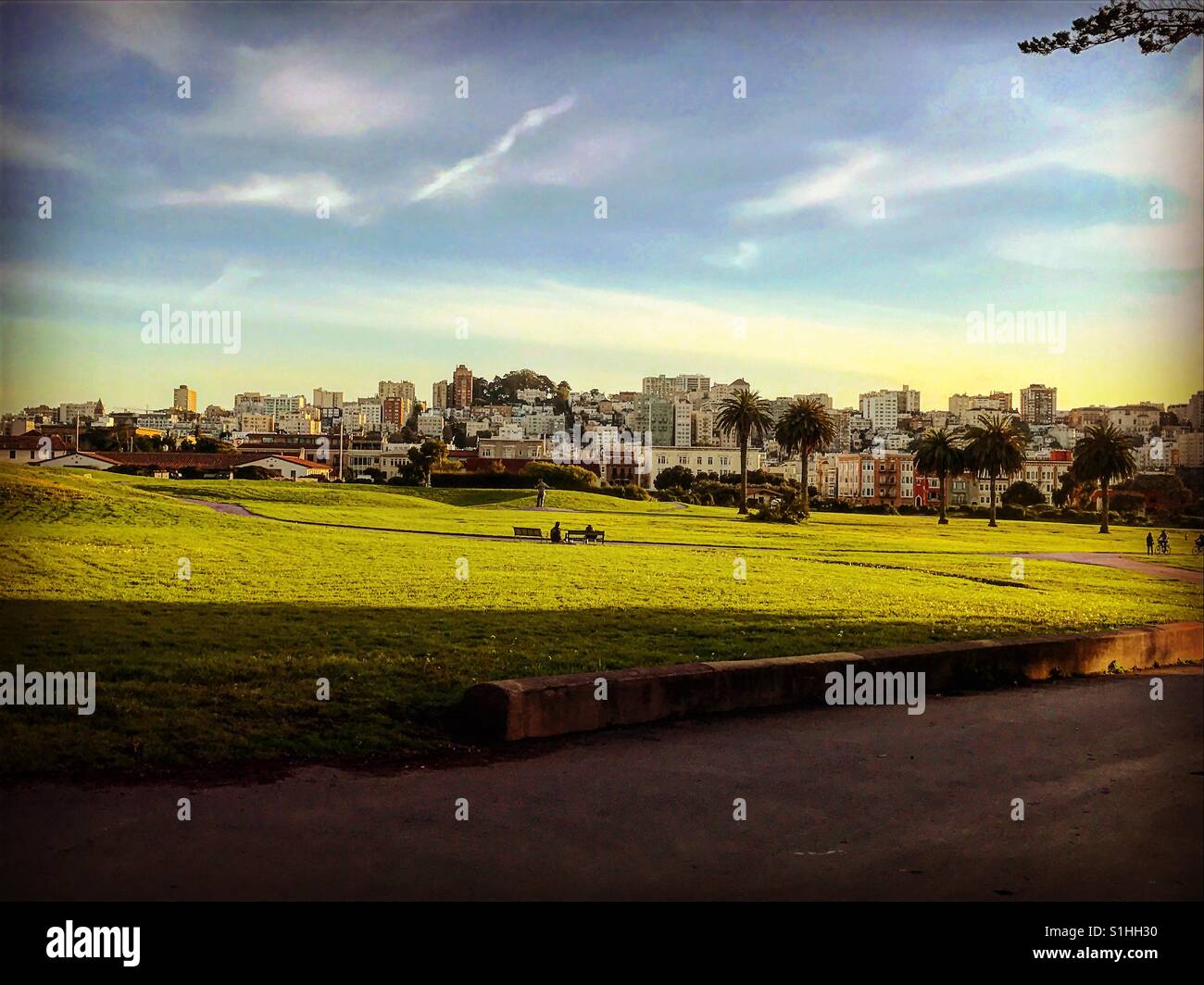 San francisco presidio park hi-res stock photography and images - Alamy
