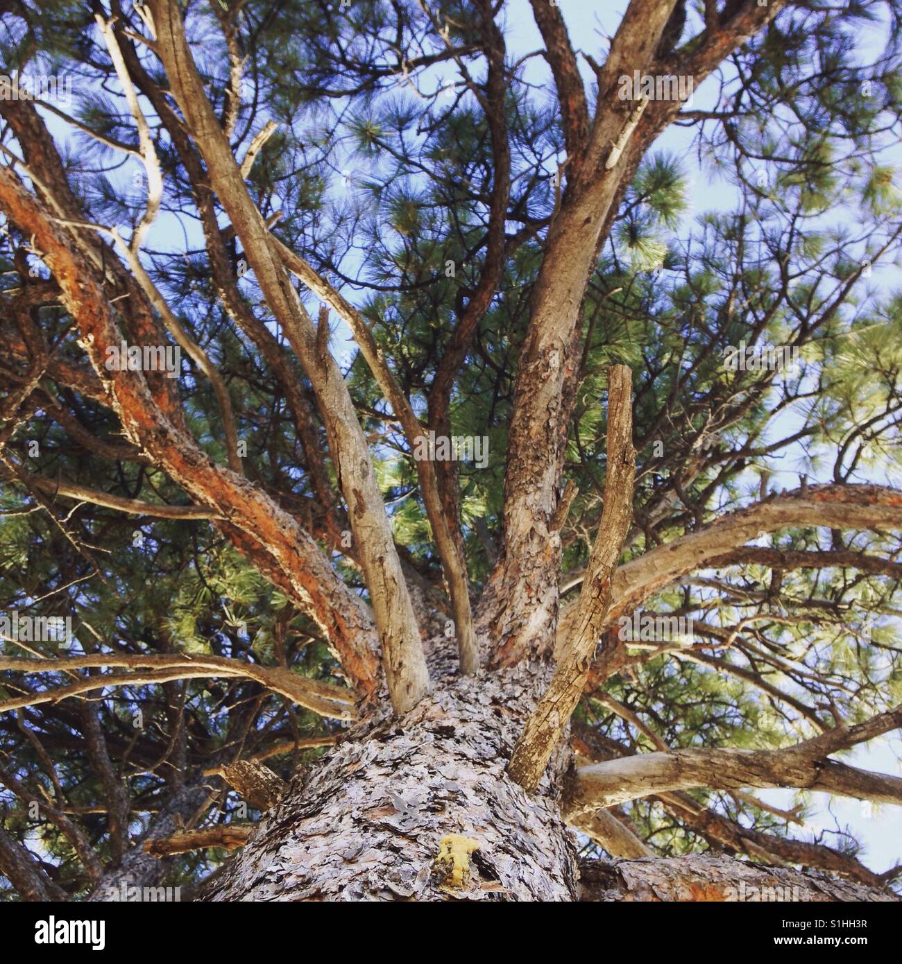 Different angle hi-res stock photography and images - Alamy