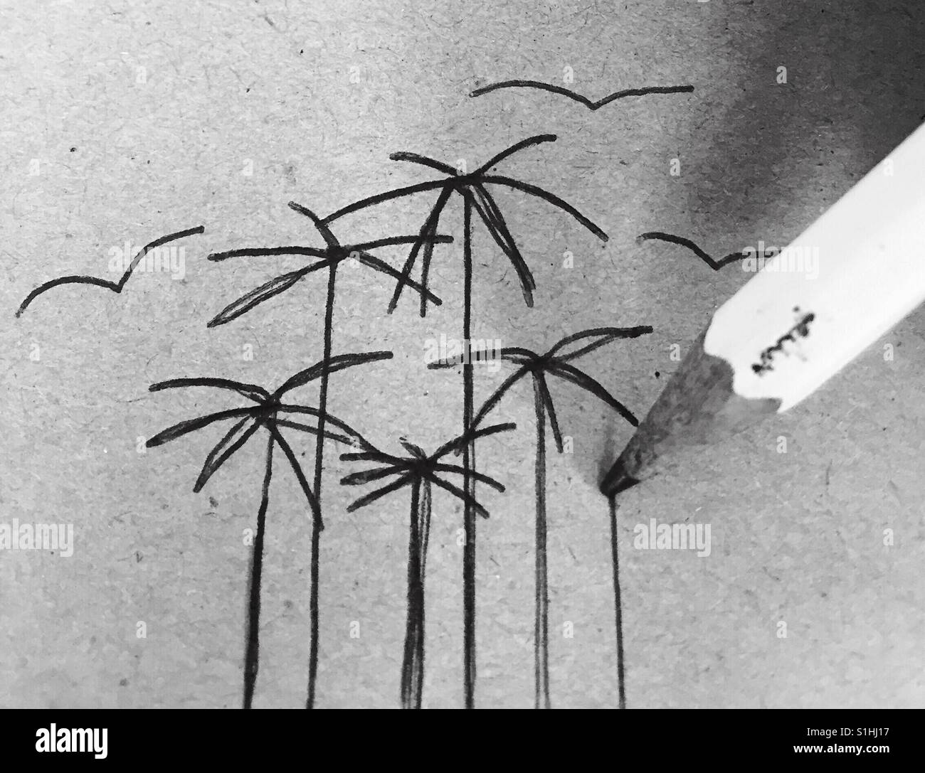 Simplistic drawing hi-res stock photography and images - Alamy