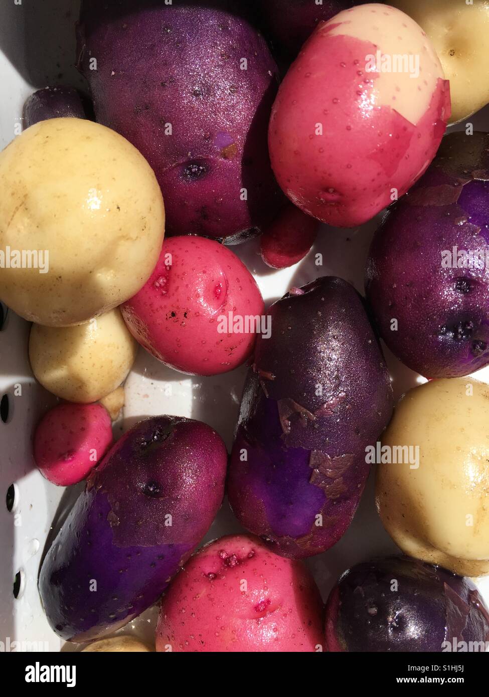 Potatos organic hi-res stock photography and images - Alamy