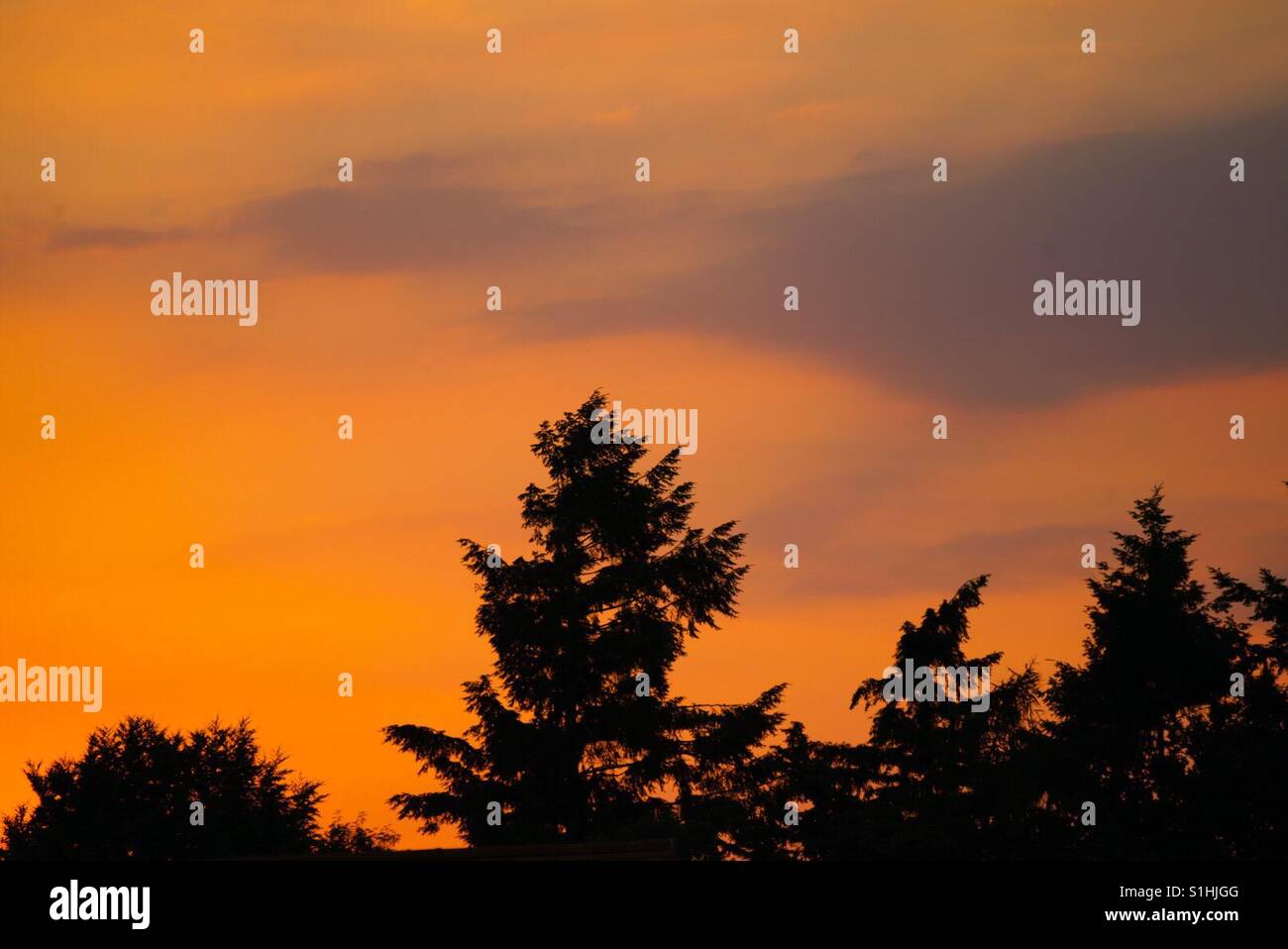Surrey silhouette hi-res stock photography and images - Alamy