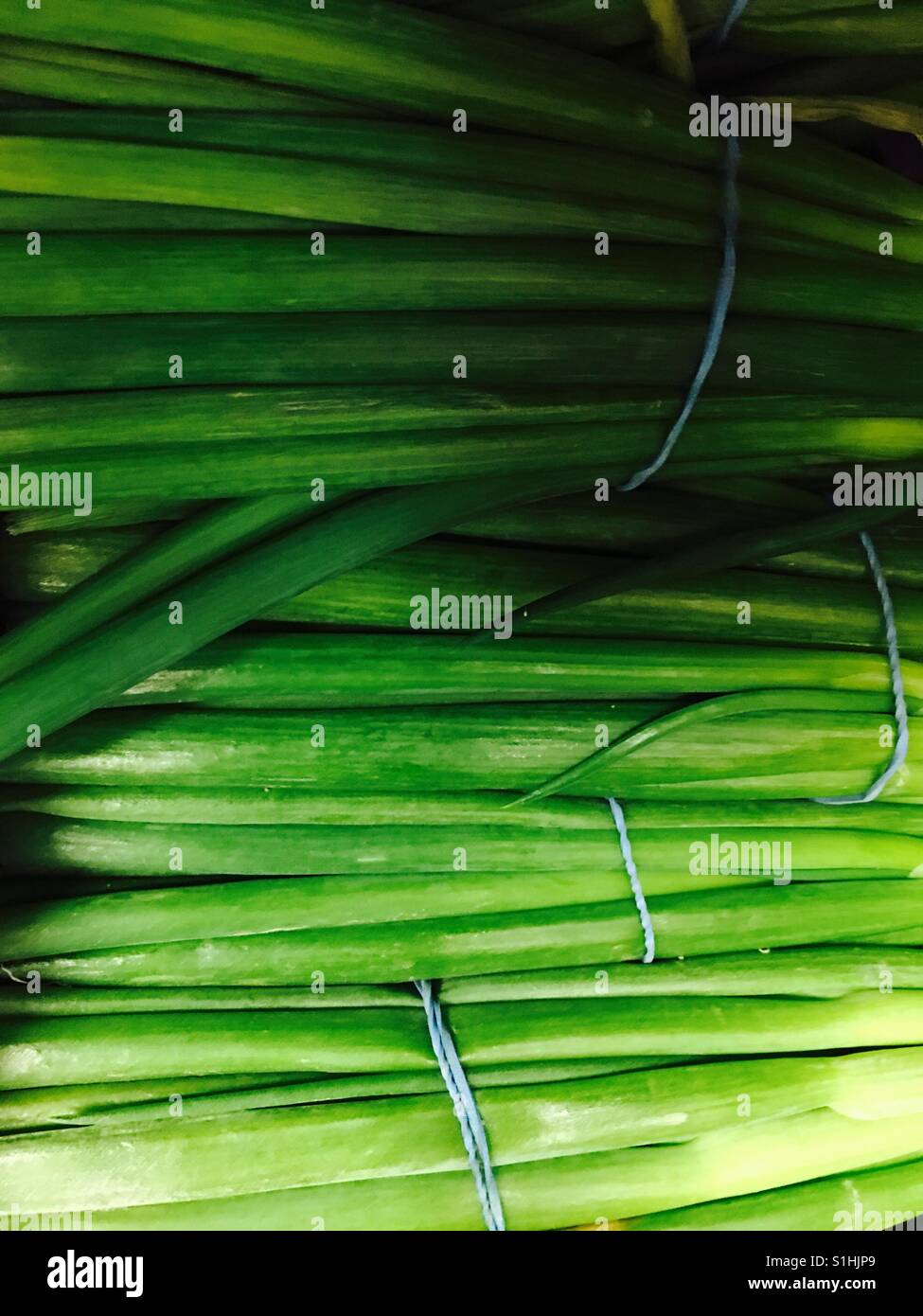 Spring onion bundles Stock Photo - Alamy