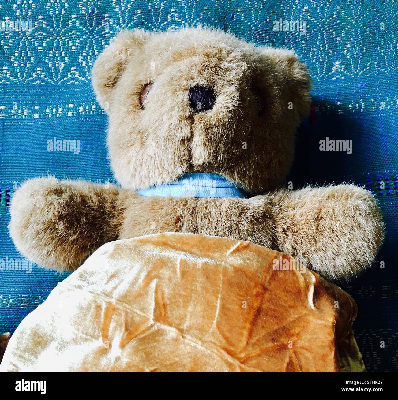 Teddy soft cuddly toy hi-res stock photography and images - Alamy