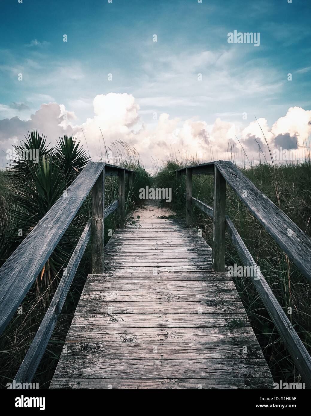 Ocean pathway hi-res stock photography and images - Alamy