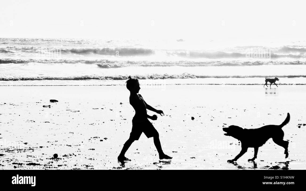 Shadow and dog hi-res stock photography and images - Alamy