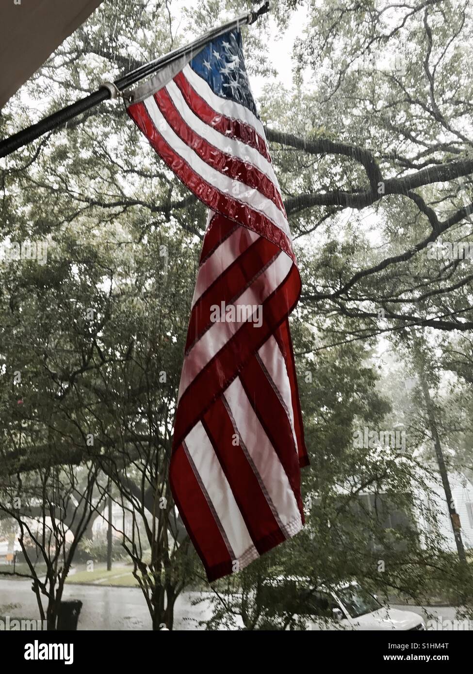 American flag against oak trees in New Orleans Stock Photo - Alamy American flag against oak trees in New Orleans Stock Photo - Alamy