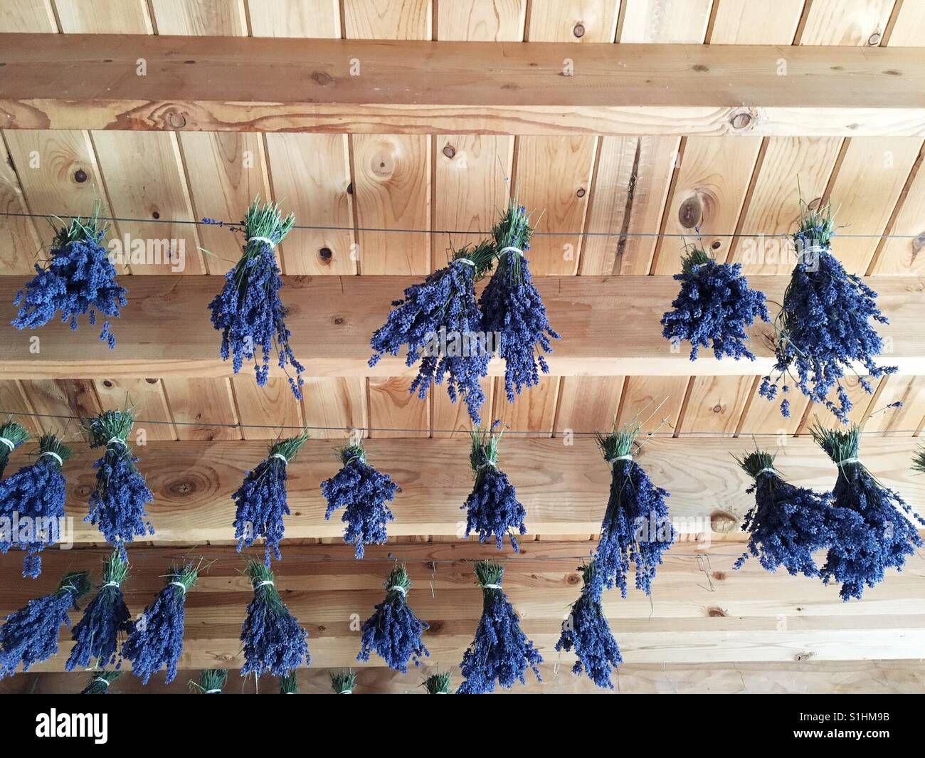 Drying lavender hi-res stock photography and images - Alamy
