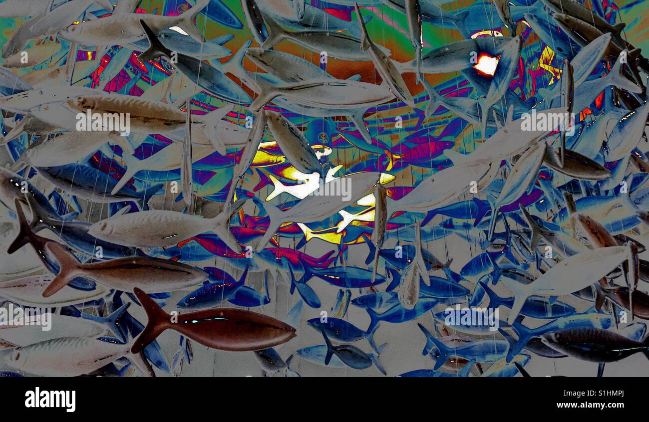 Psychedelic fish hi-res stock photography and images - Alamy