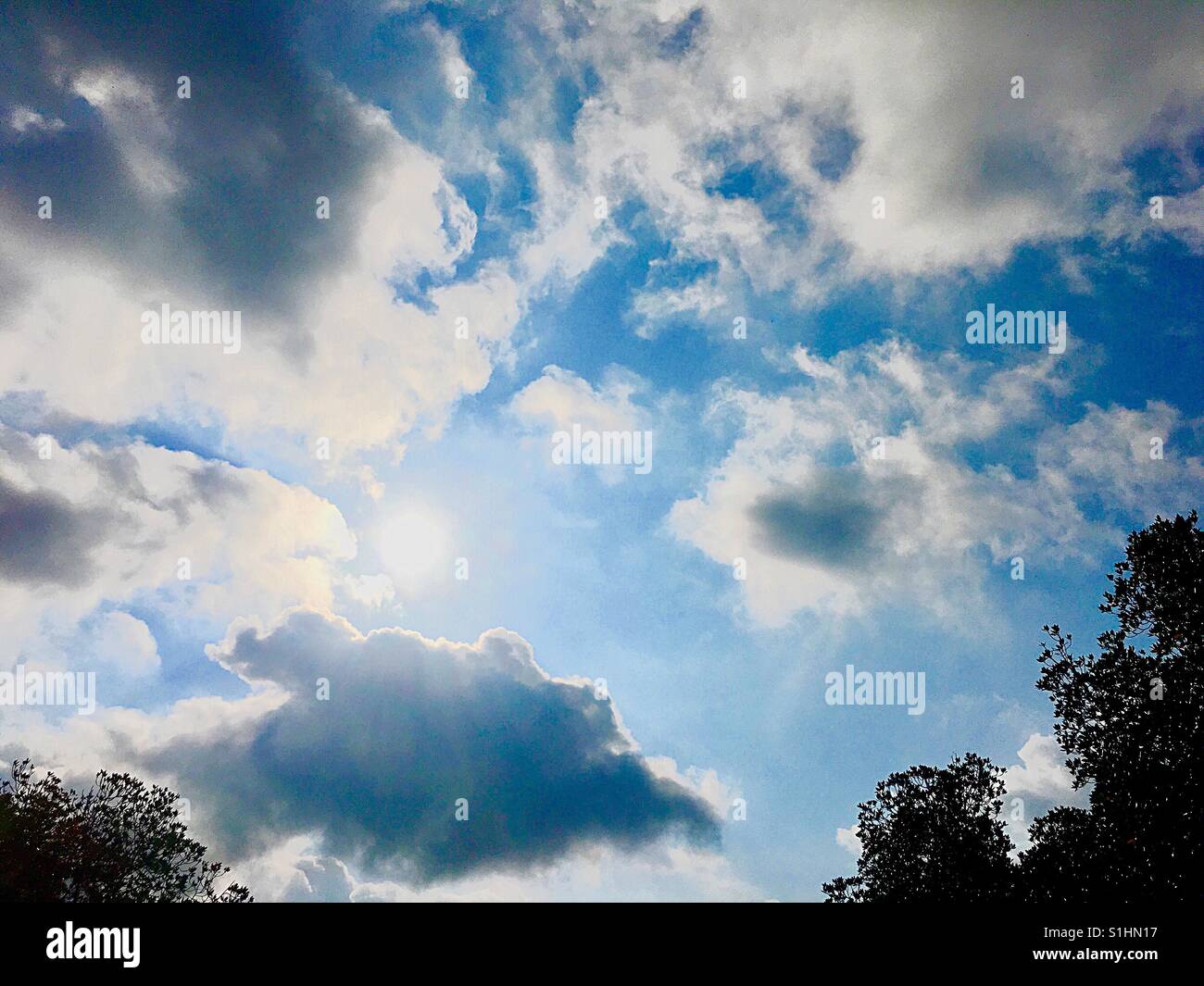 Morning day sky hi-res stock photography and images - Alamy