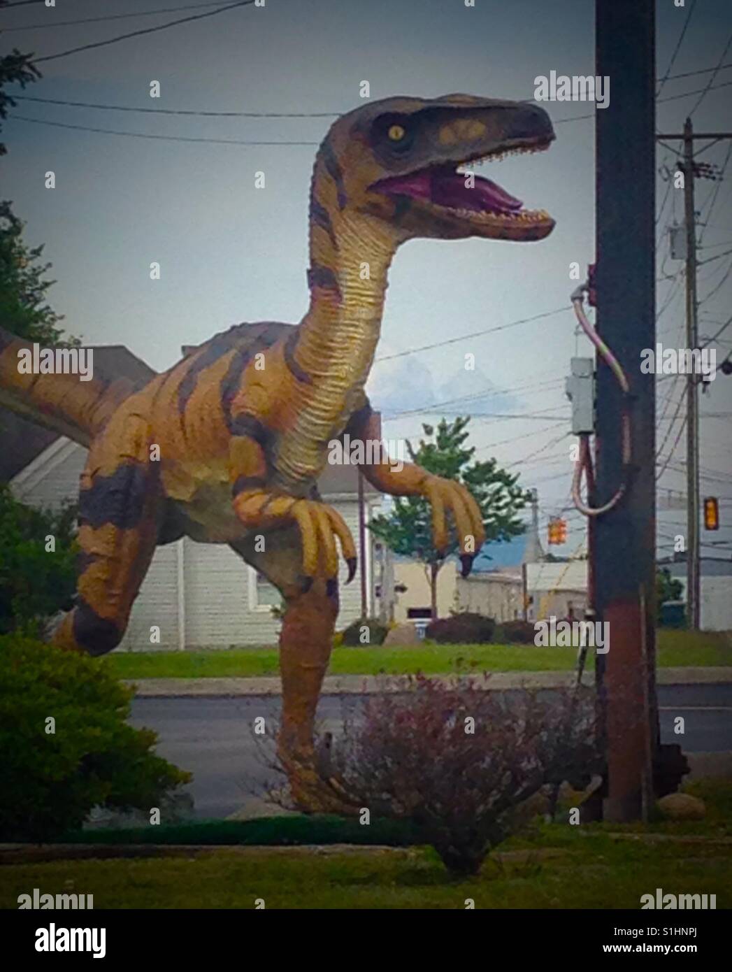 Realistic Dinosaur Attack