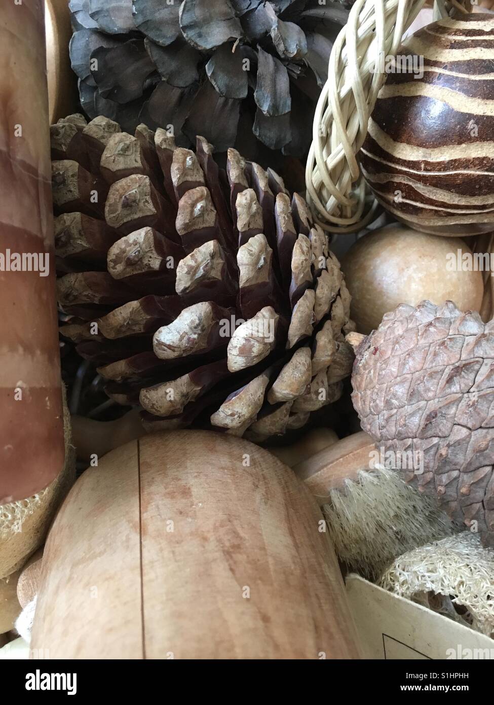 Still life of nature Stock Photo - Alamy