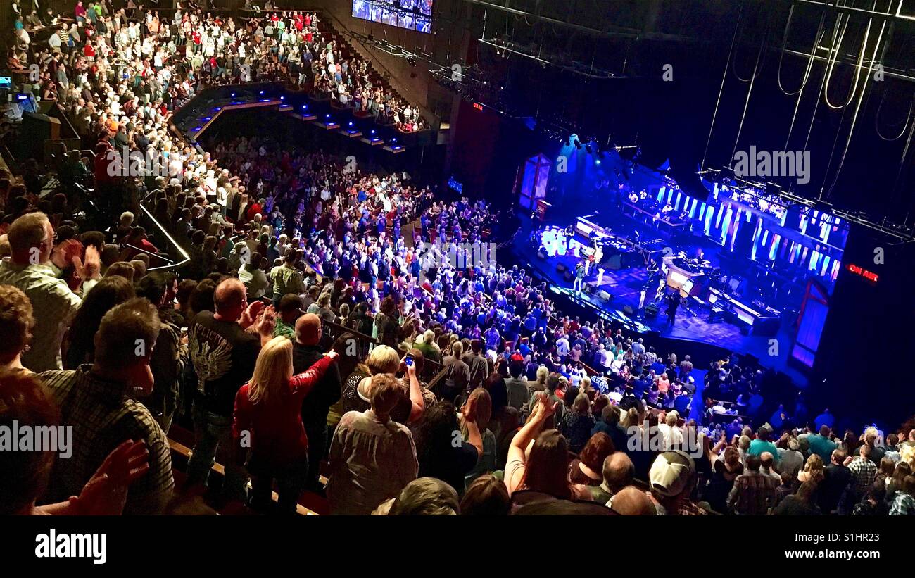 Back of people at concert hi-res stock photography and images - Alamy