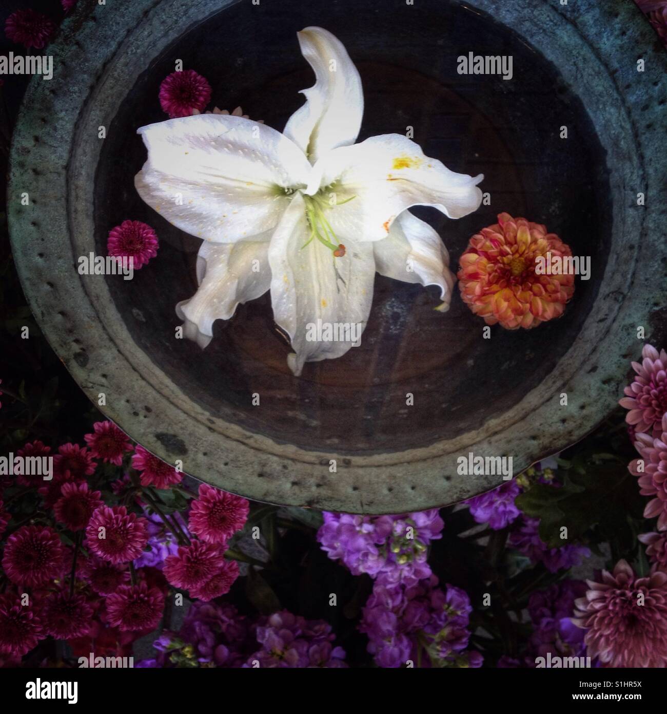 Floaty hi-res stock photography and images - Alamy