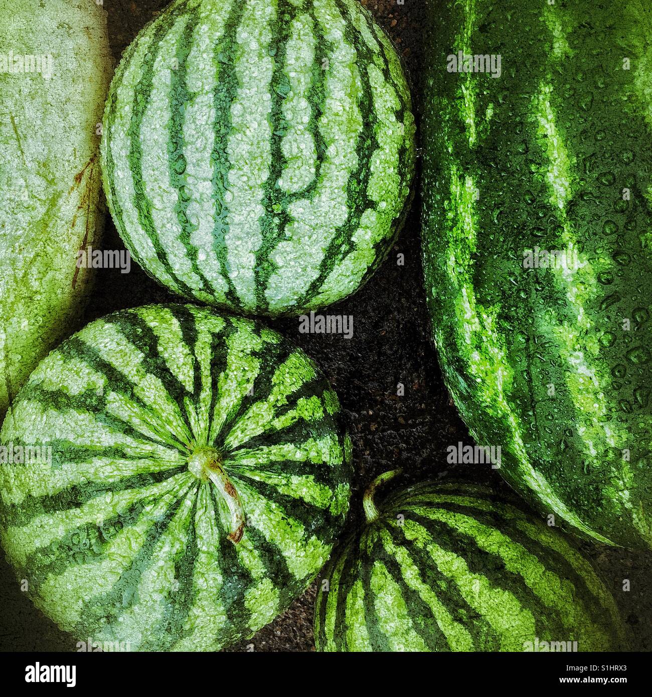 Rain and watermelon hi-res stock photography and images - Alamy