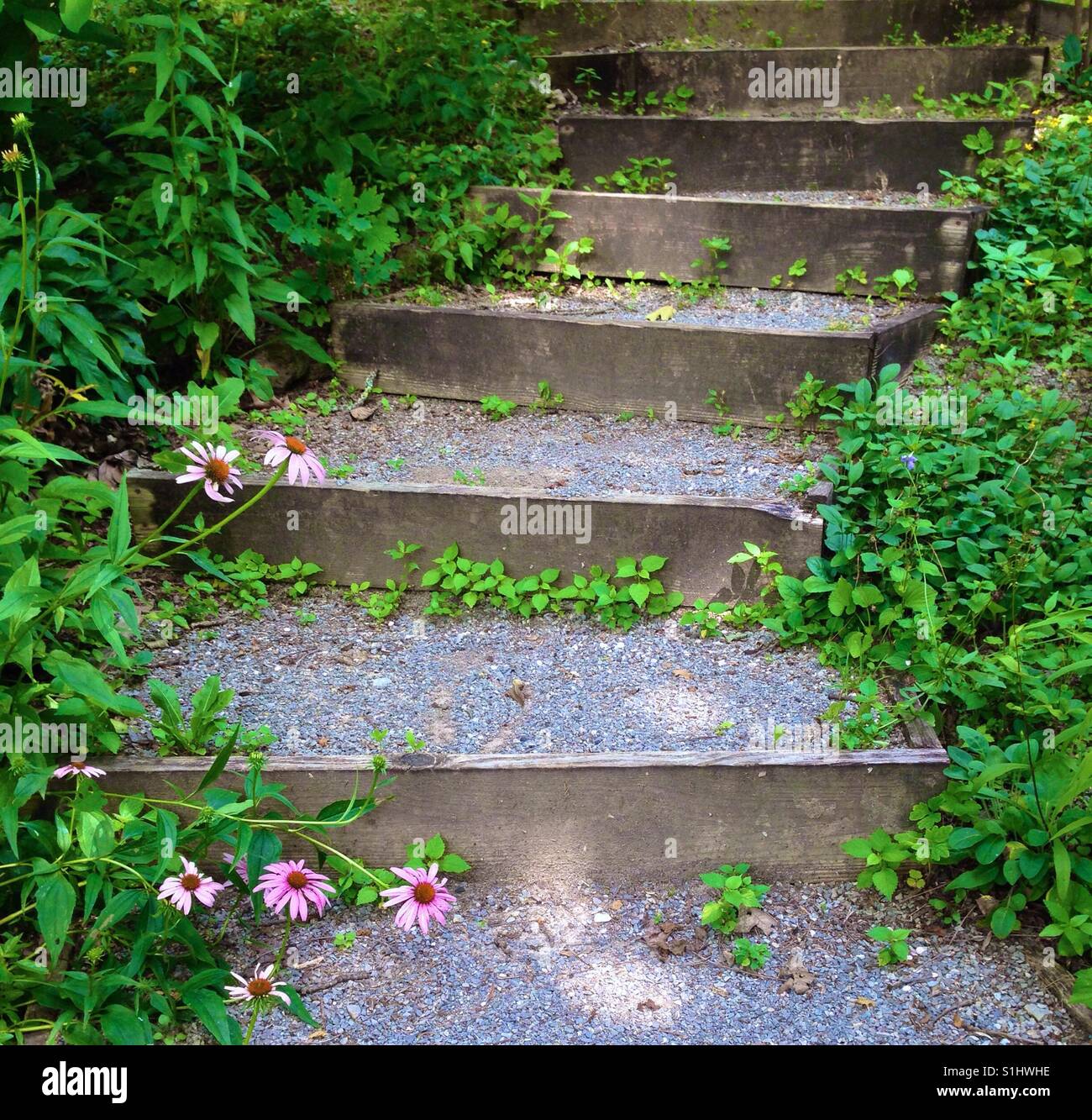 Garden stairs hi-res stock photography and images - Alamy
