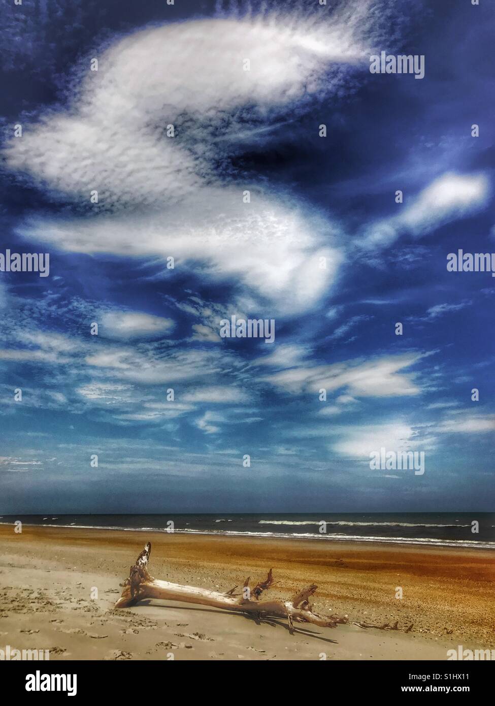 Undisturbed primitive beach, South Ponte Vedra Beach, Florida Stock ...