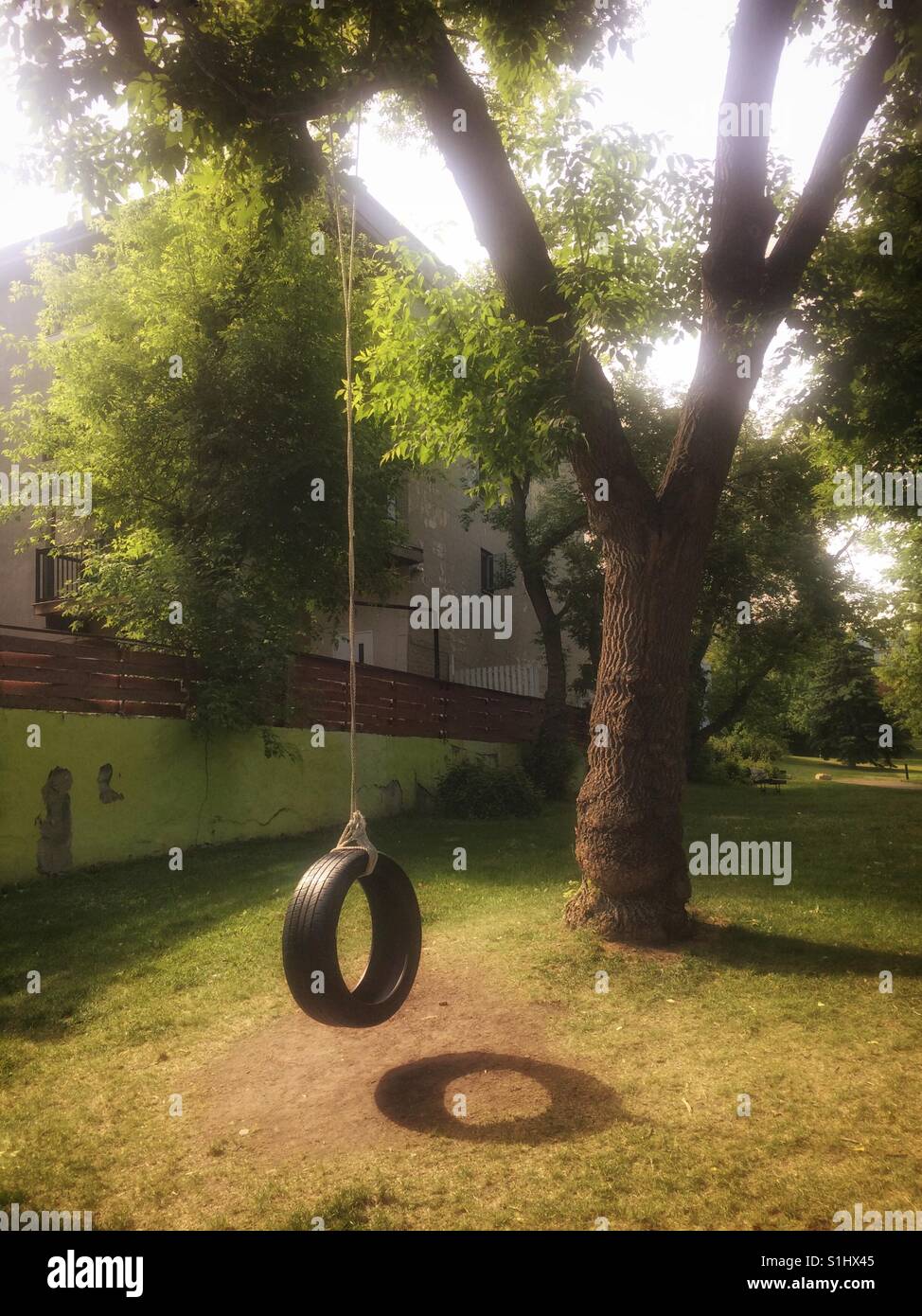 Tire swing tree hi-res stock photography and images - Alamy