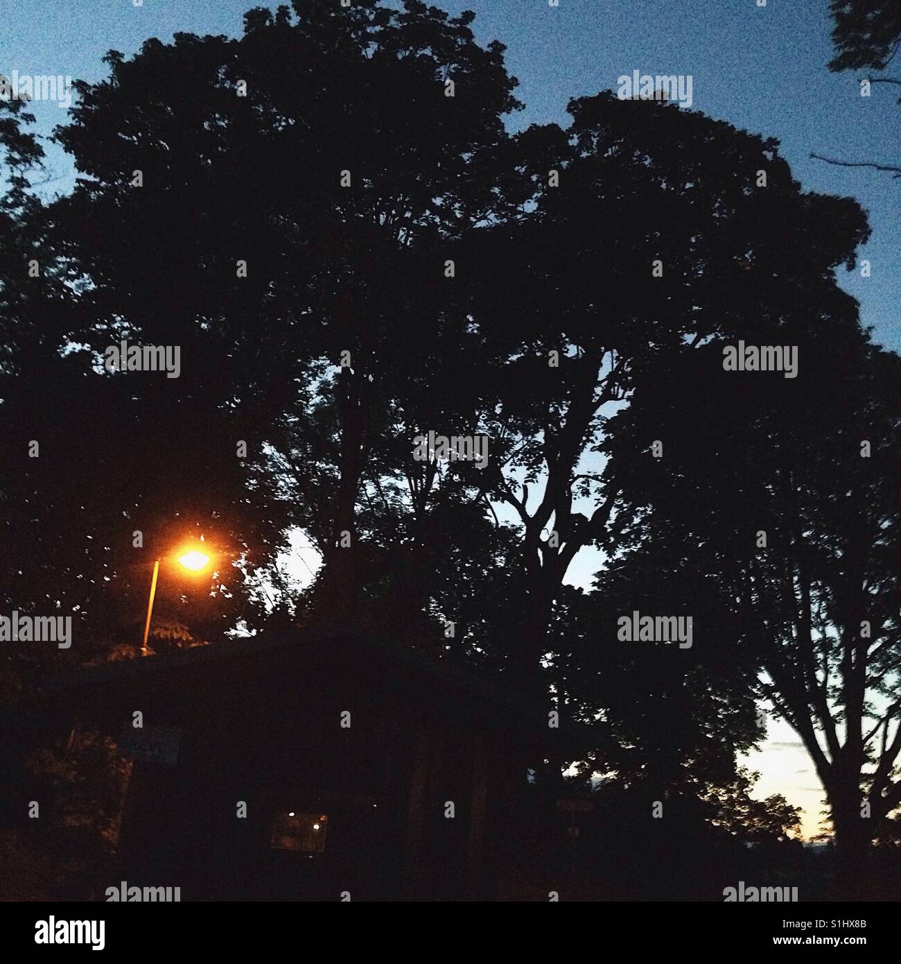 Evening walk hi-res stock photography and images - Alamy