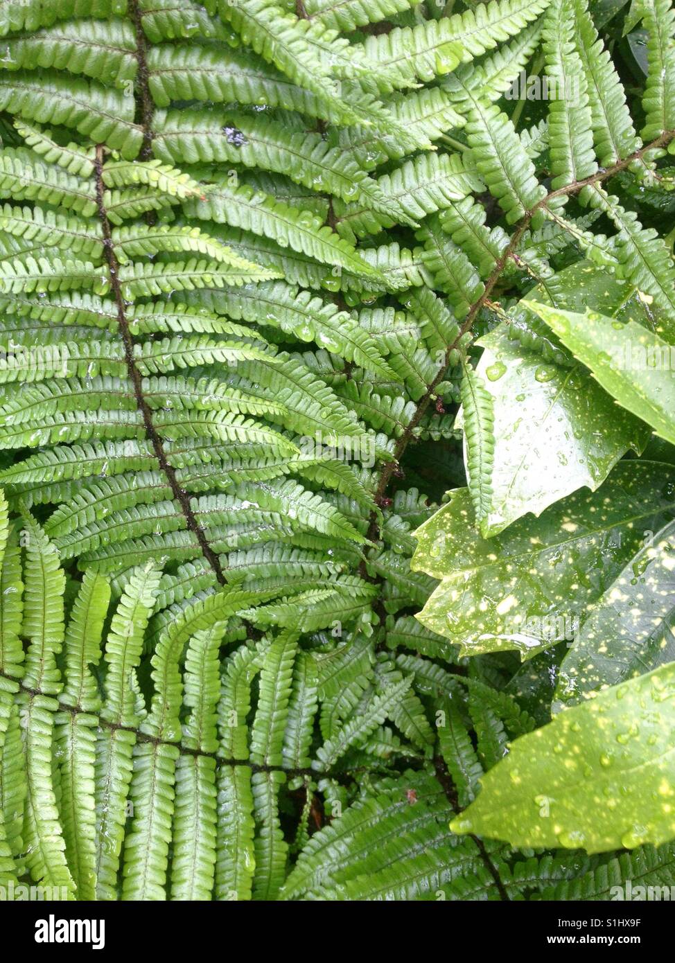 Spiralling hi-res stock photography and images - Alamy