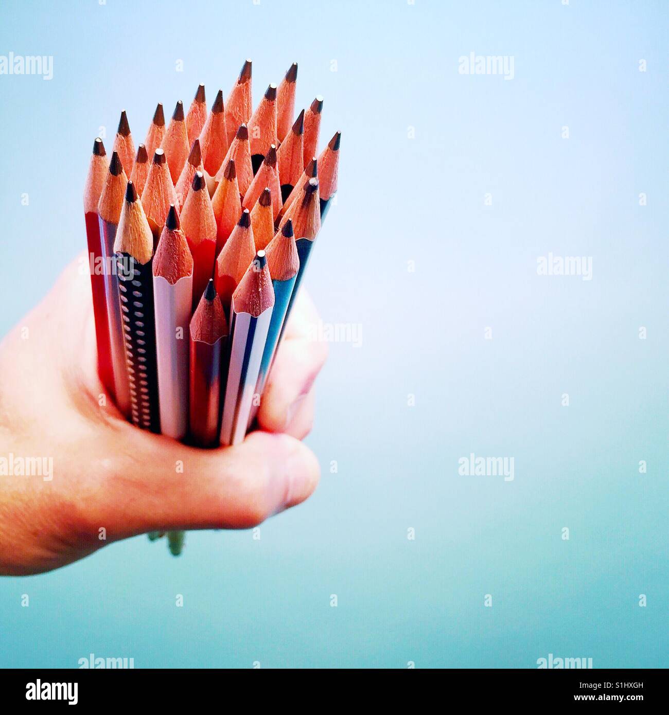 A man's hand holding a group of assorted pencils against a blue ...