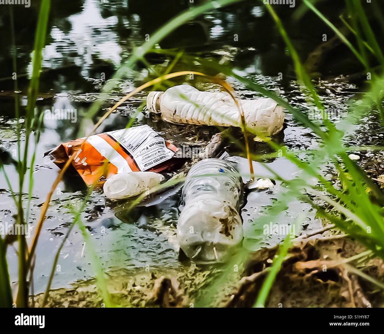 A pond littered with plastic bottles and bag Stock Photo - Alamy