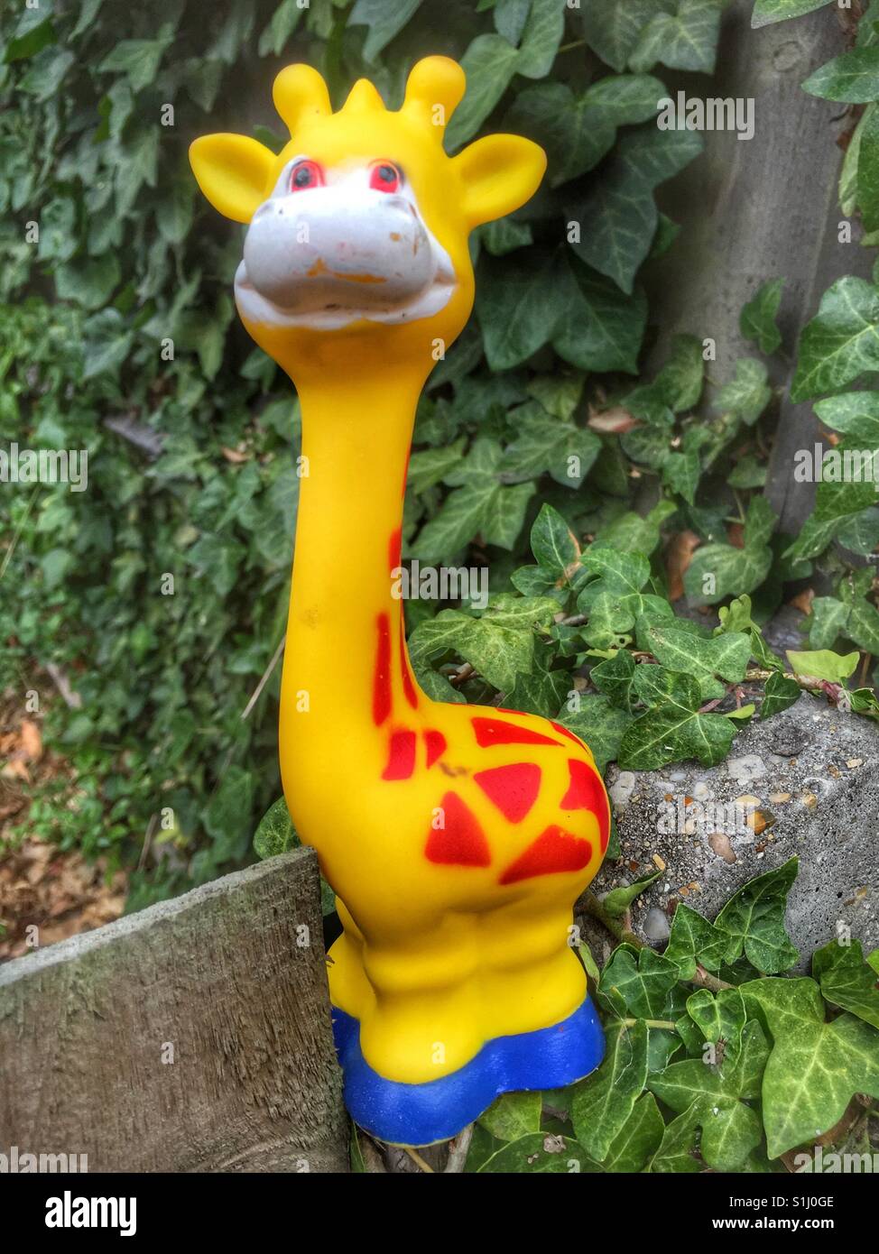 A plastic toy giraffe left on a fence Stock Photo - Alamy