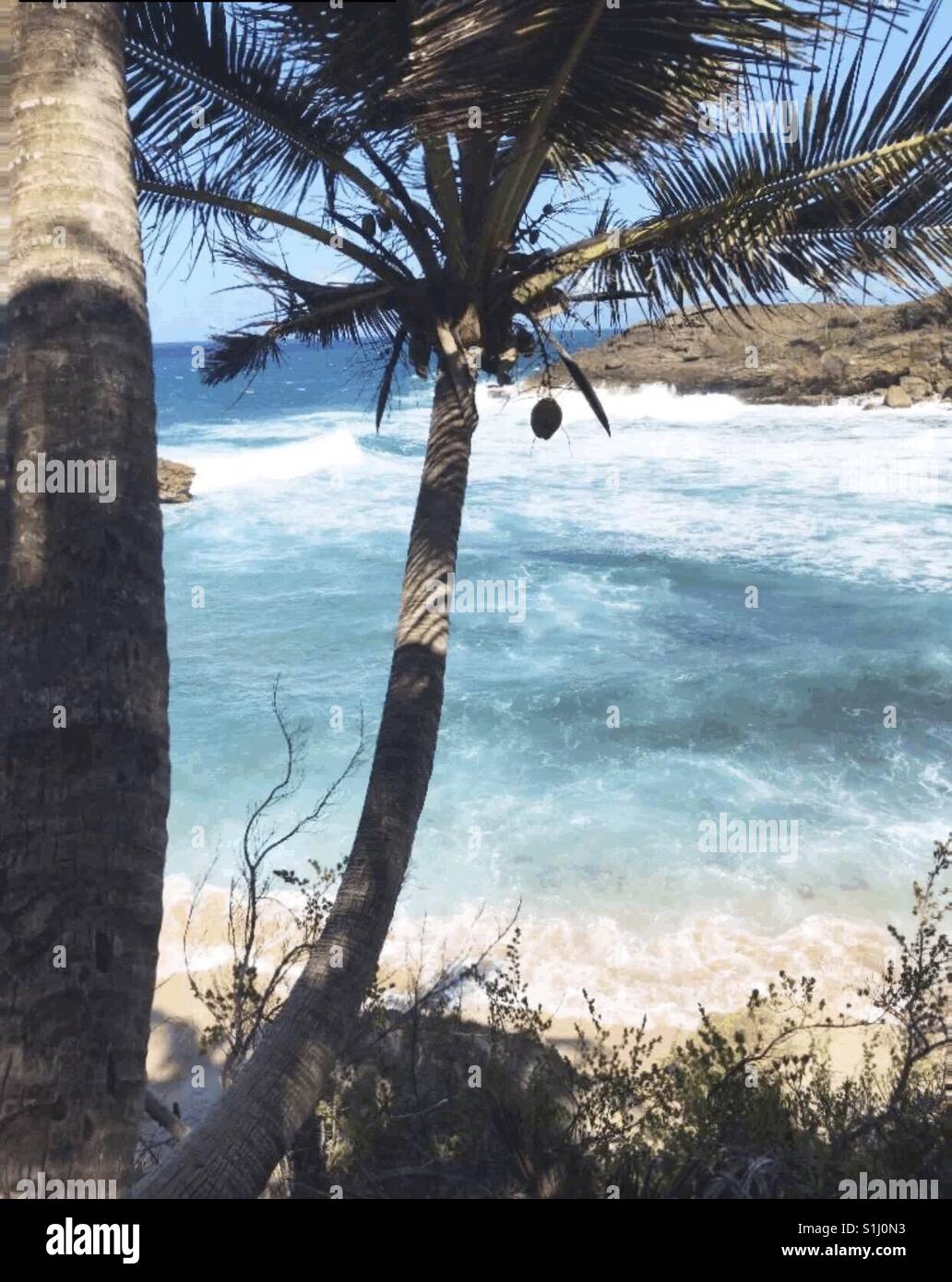 Tropical feel hi-res stock photography and images - Alamy