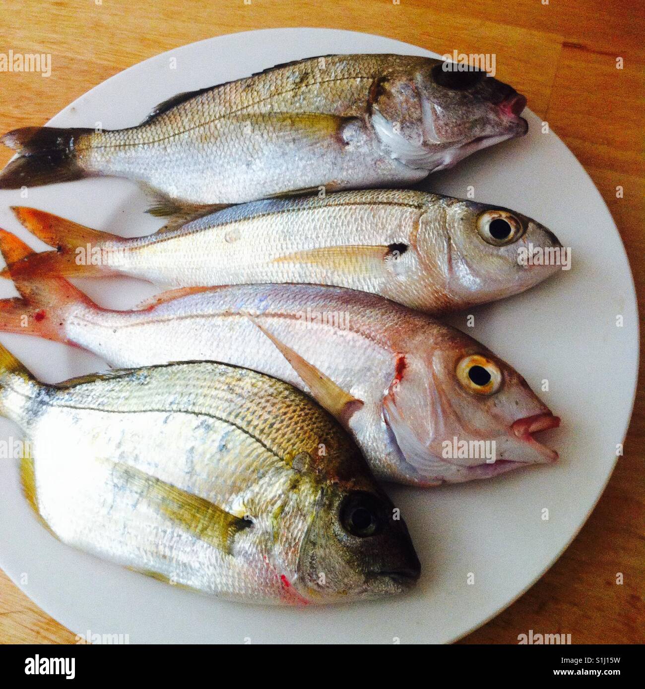 Fish on a plate Stock Photo - Alamy