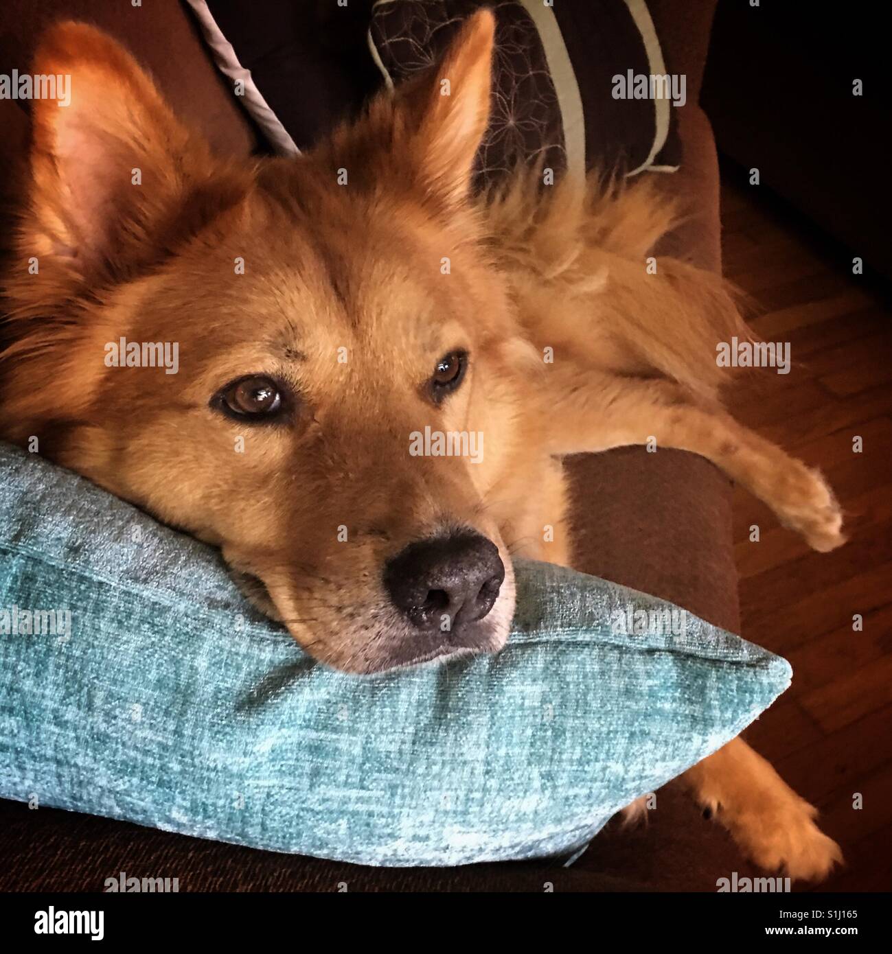 Resting waiting hi-res stock photography and images - Alamy