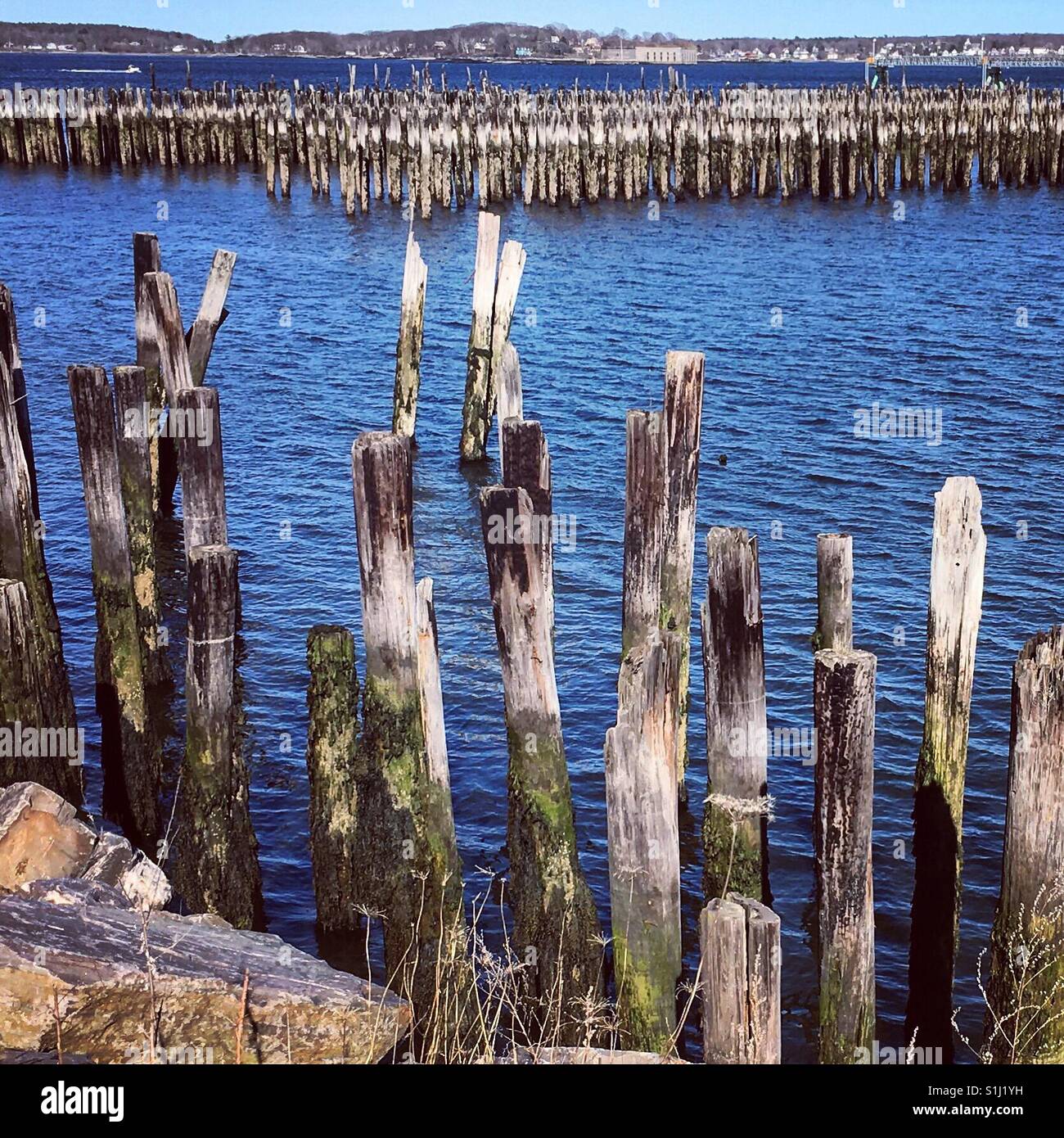 Old pier pilings hi-res stock photography and images - Alamy