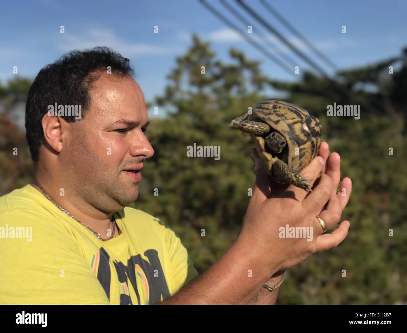 Man holding turtle hi-res stock photography and images - Alamy