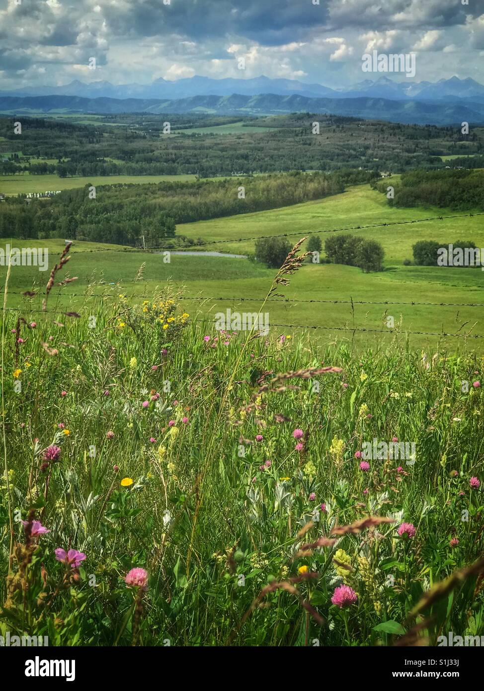 Foothills of the rockies hi-res stock photography and images - Alamy